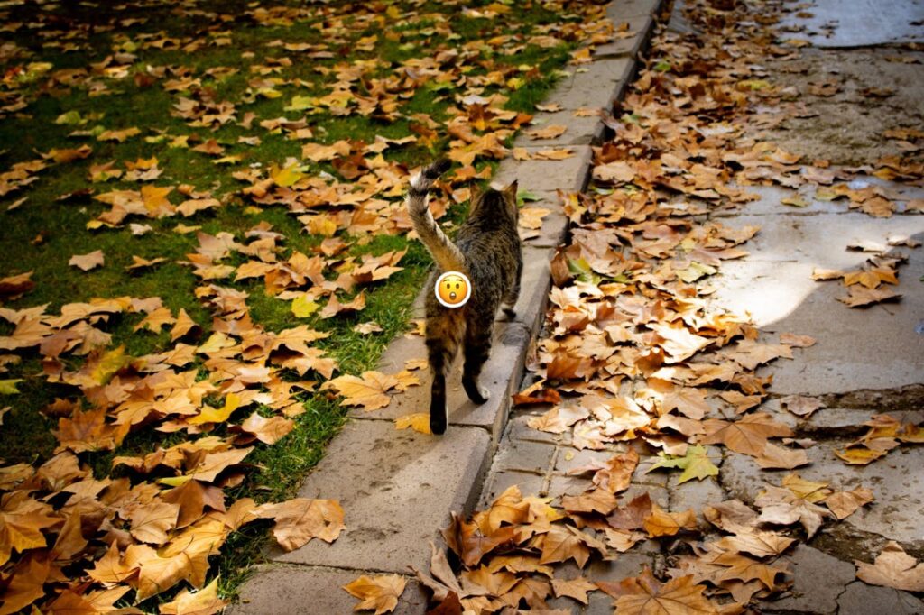 Monday Morning Accounting News Brief: Get Out Your Trick-or-Treater ...